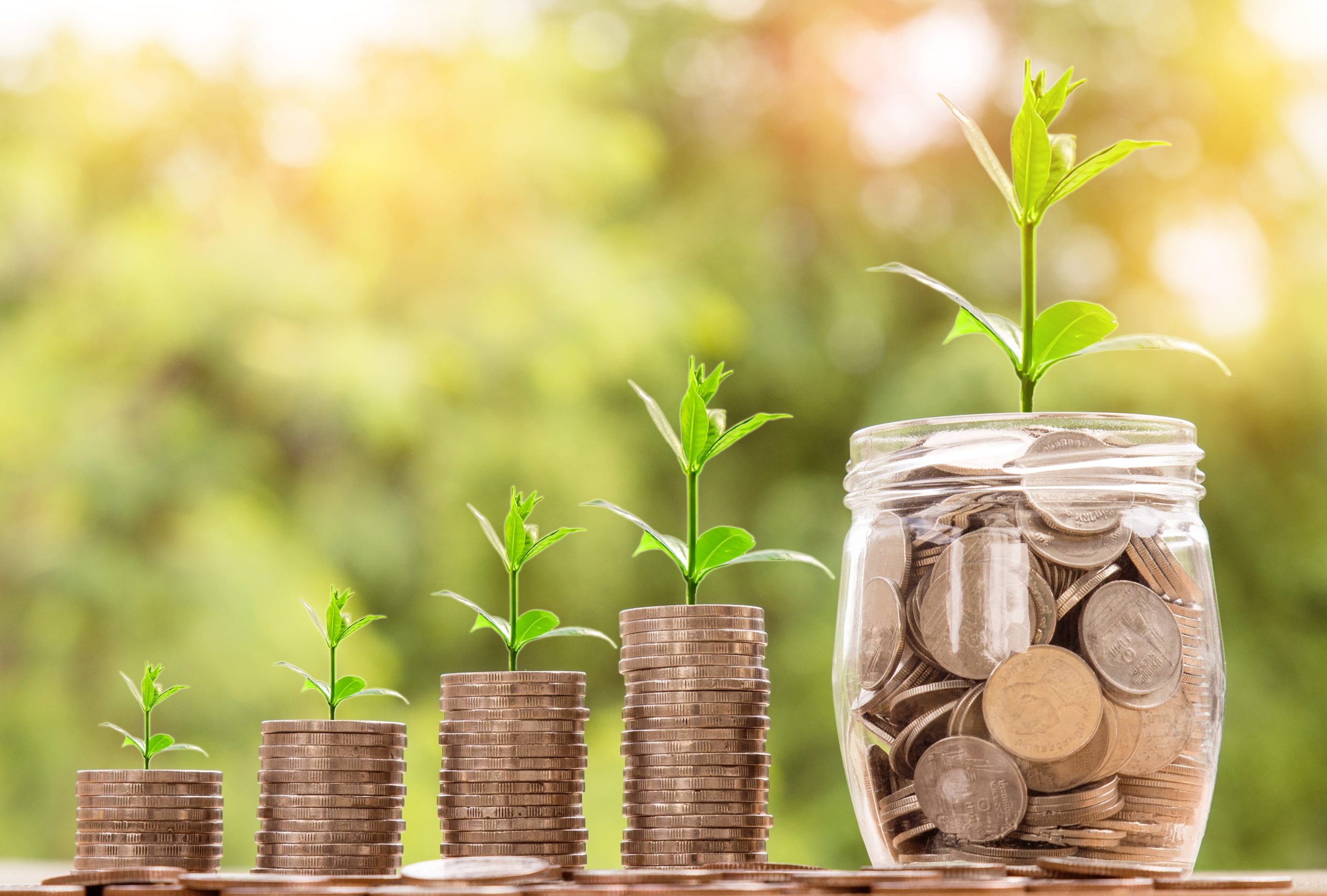 Strategies for Earning and Saving Money - Karoki Githure